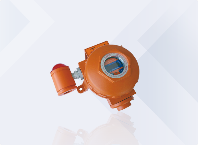 显示型气体检测仪Xgard Bright